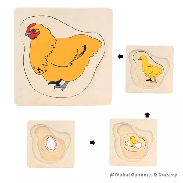 Life Cycle Puzzle - Etsy