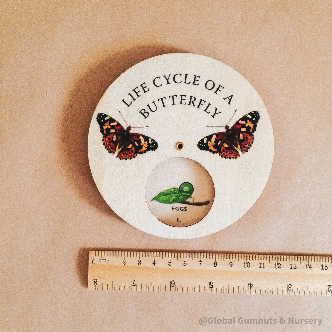 Butterfly Life Cycle Wheel | Montessori SCANDI Style Spinner Dial ...