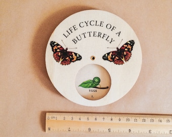Life Cycle Spinner - Etsy