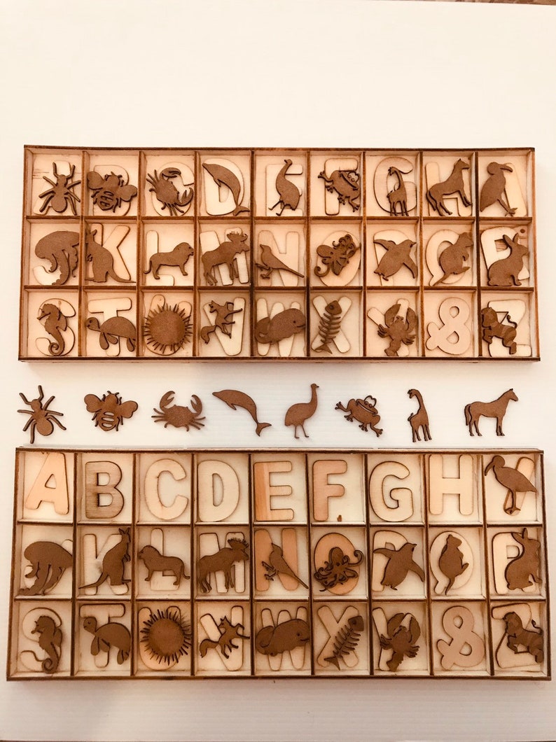 A to Zoo Animals Display Board | Etsy