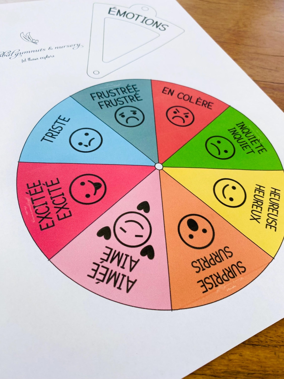 Downloadable FRENCH Teaching Resource for Unlocking Emotion: Engaging ...