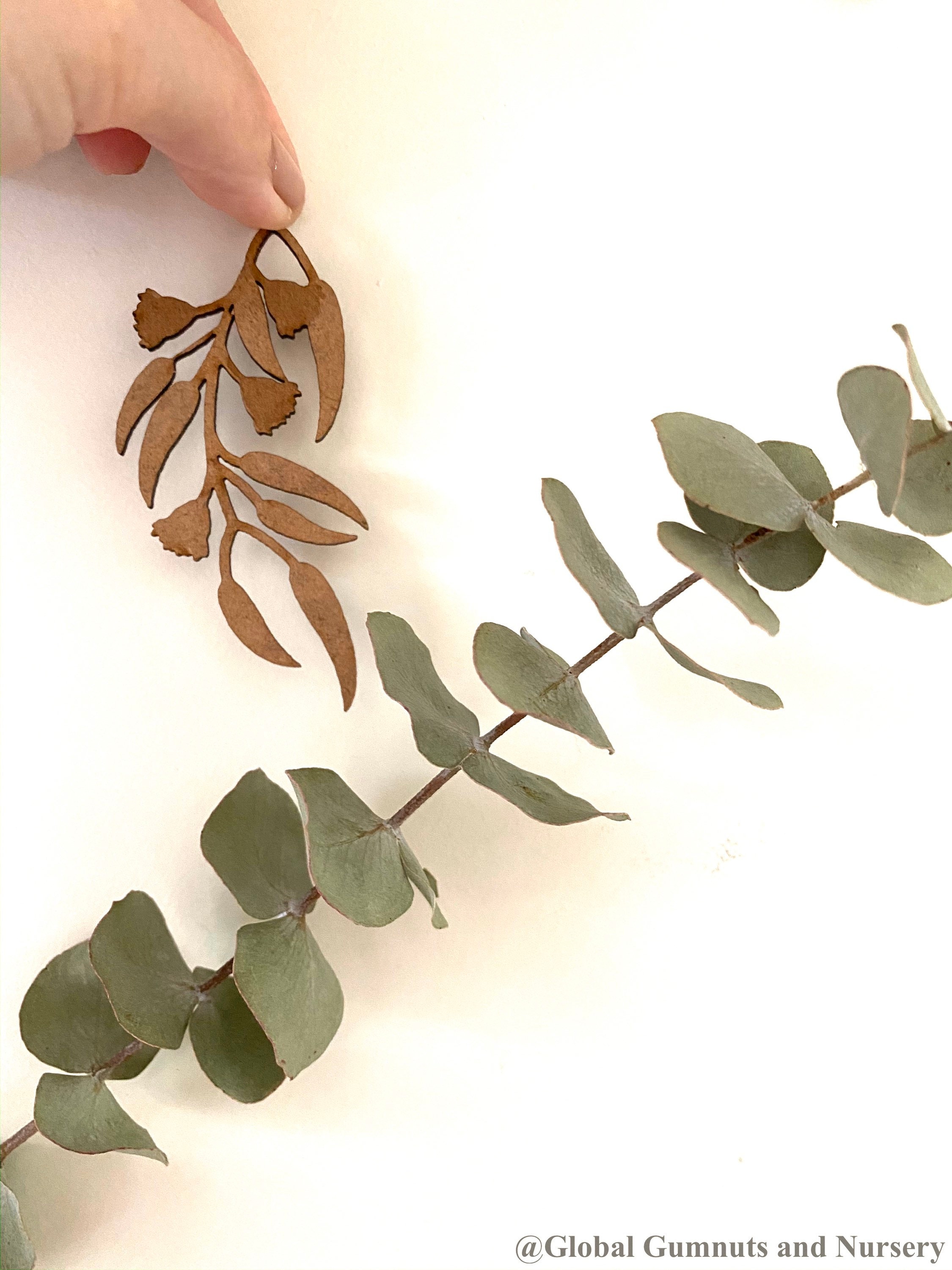 Individual Gumleaf Flowering Gum and Branch Lazer | Etsy