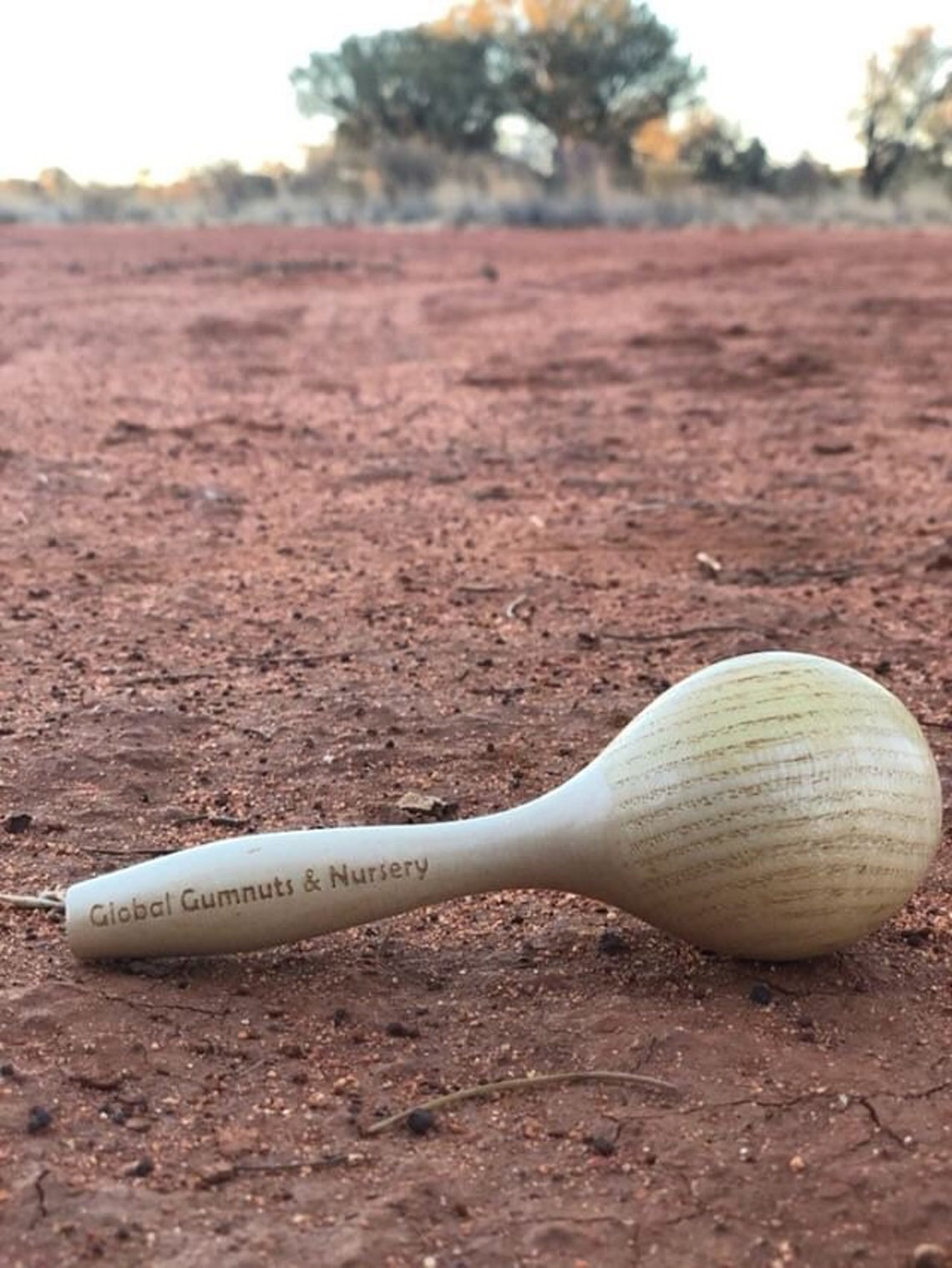 Natural Wooden Maracas 1 or set | Etsy