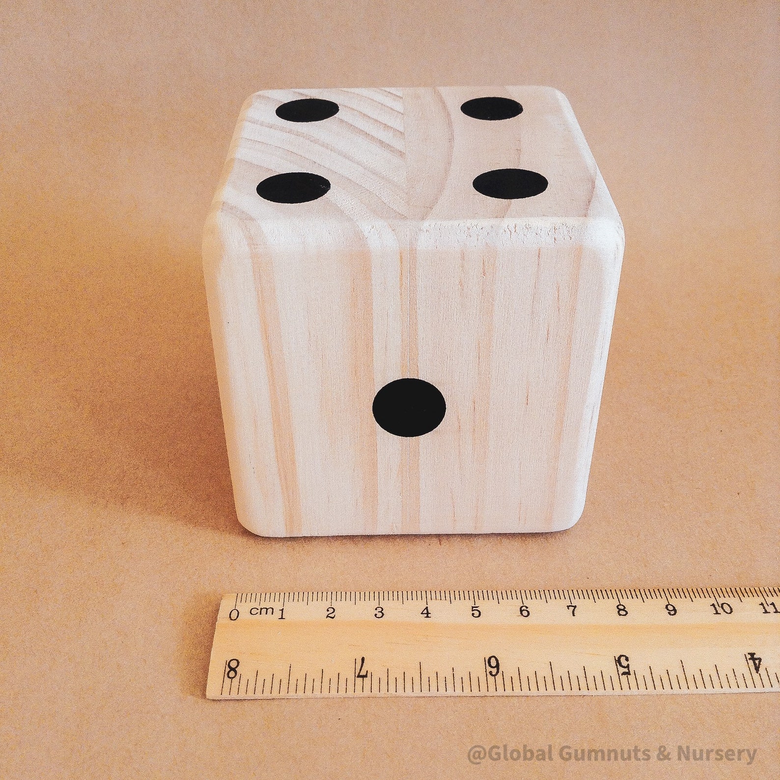 Large Wooden DICE | More Than a Handful | Garden Games| Party Range - Etsy