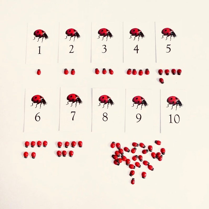 Ladybug Count Cards | Etsy