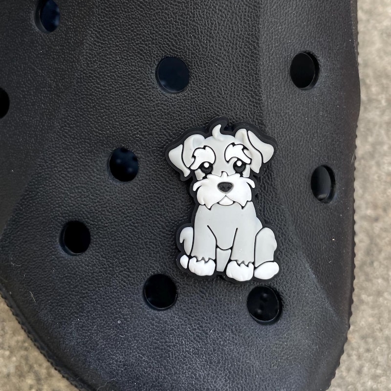 Schnauzer Dog Shoes - Etsy UK