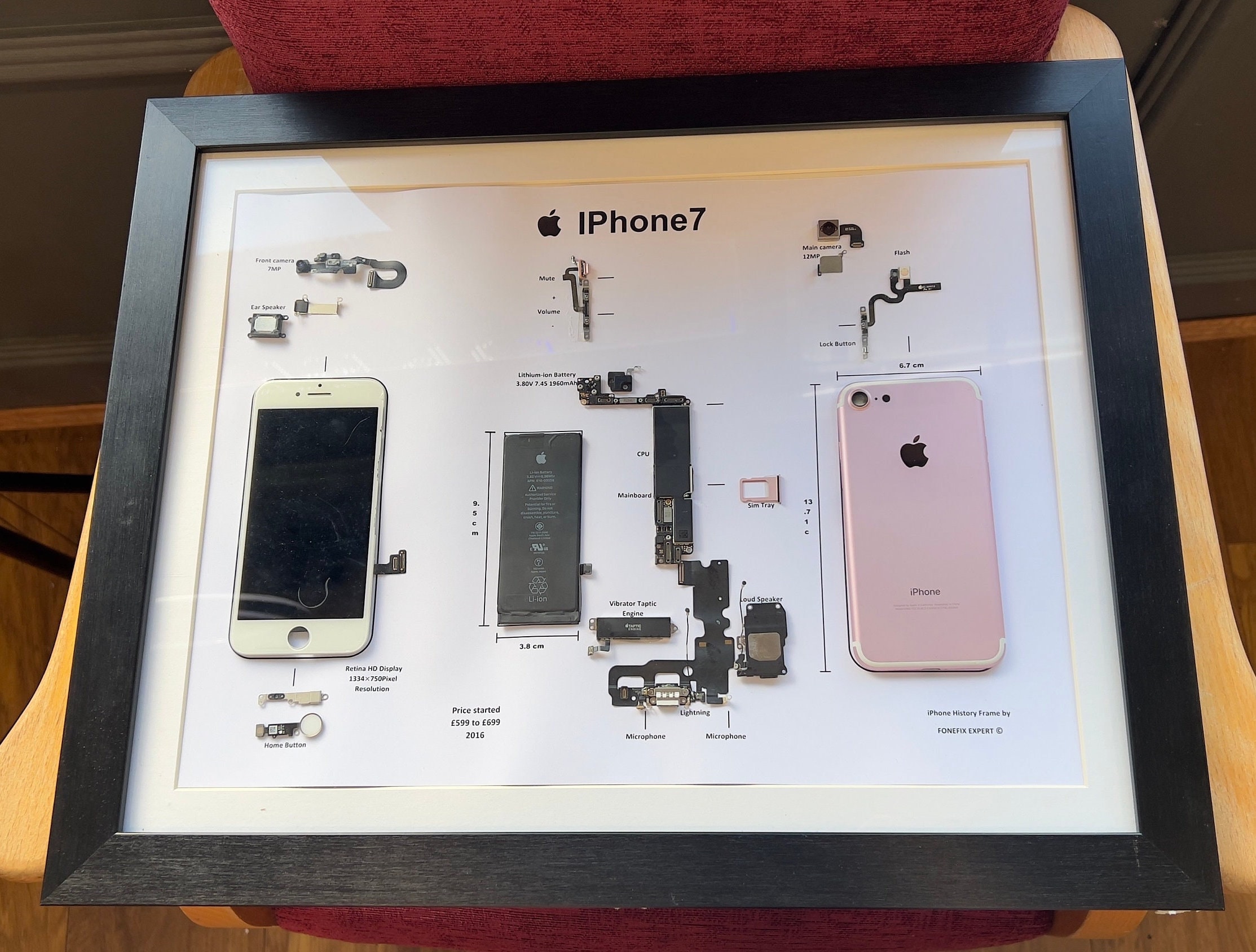 IPhone Framed Wall Art | Disassembled iPhone | iPhone Teardown Art ...