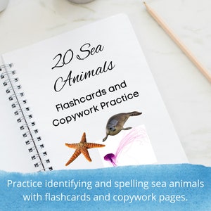 Practice Identifying and Spelling Sea Animals With Flashcards and Lined ...