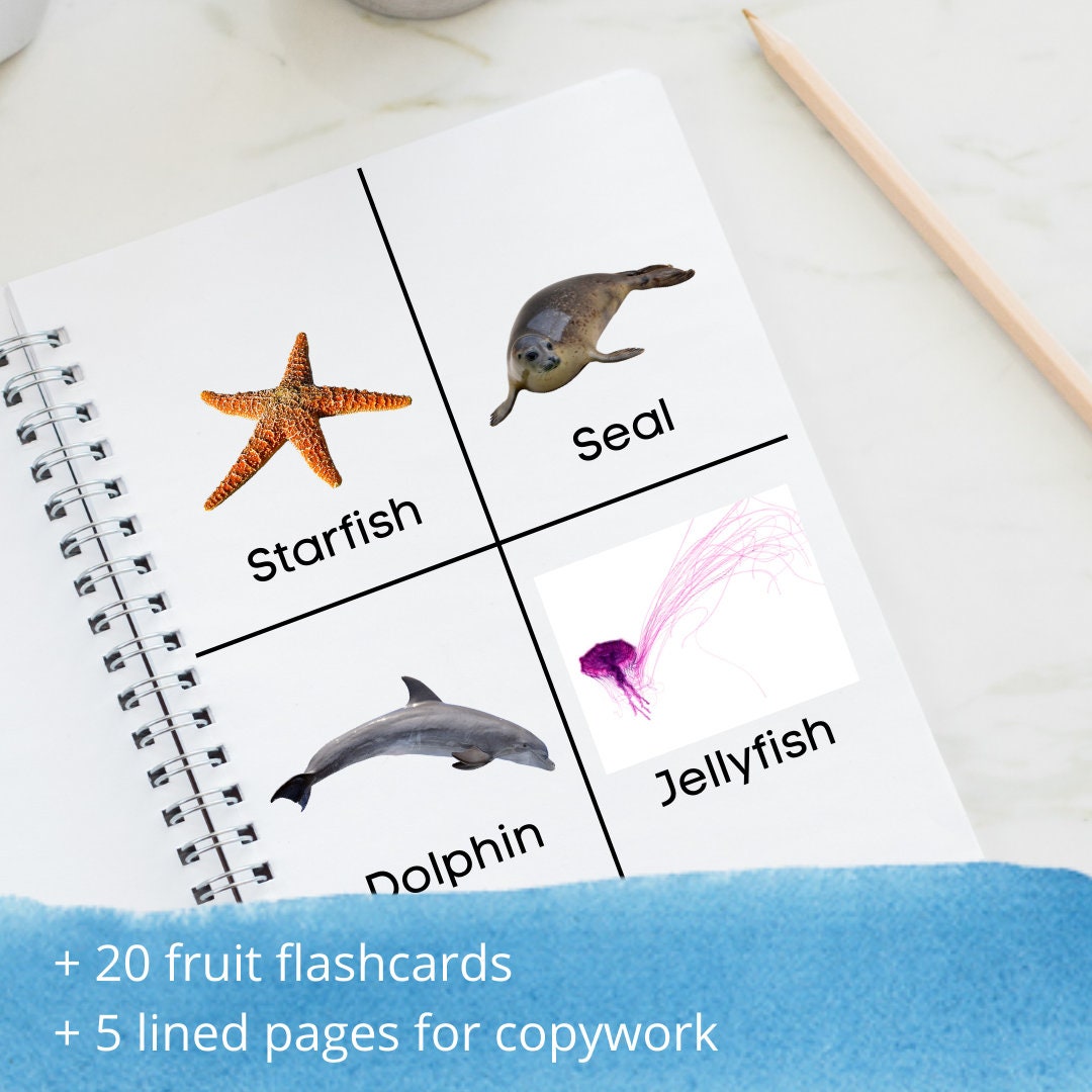 Practice Identifying and Spelling Sea Animals With Flashcards and Lined ...