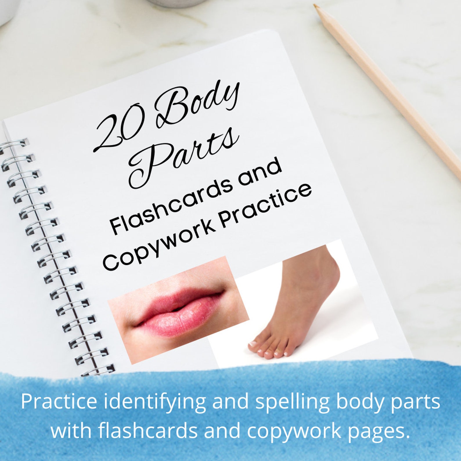 Practice Identifying and Spelling Body Parts With Flashcards and Lined ...