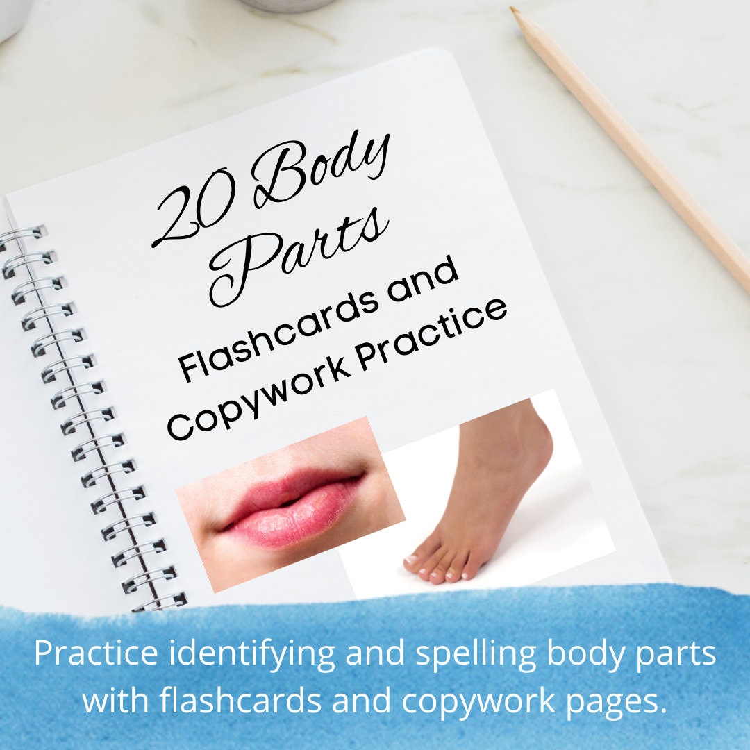 Practice Identifying and Spelling Body Parts With Flashcards and Lined ...