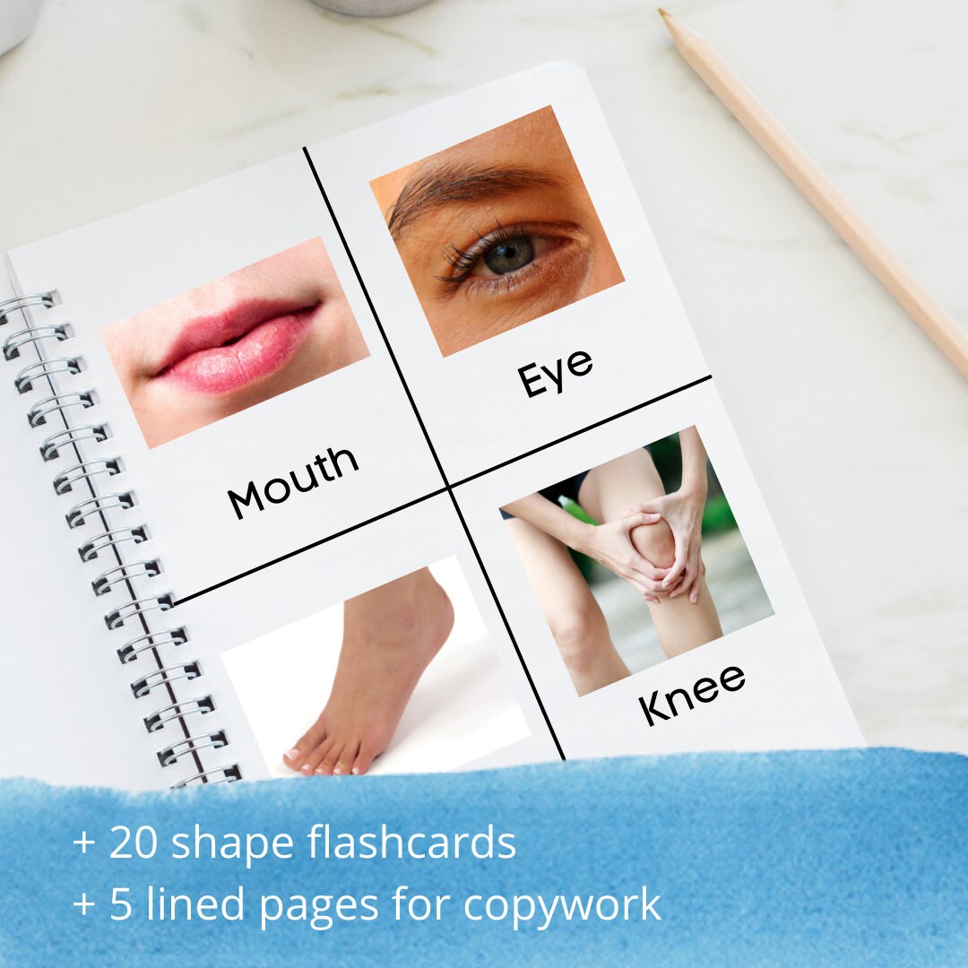 Practice Identifying and Spelling Body Parts With Flashcards and Lined ...