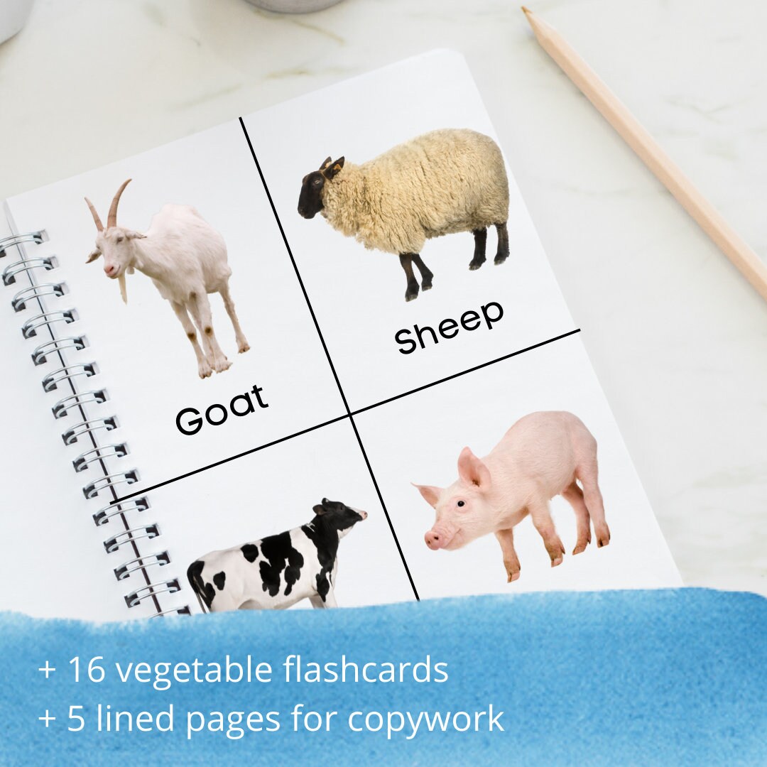 Practice Identifying and Spelling Farm Animals With Flashcards and ...