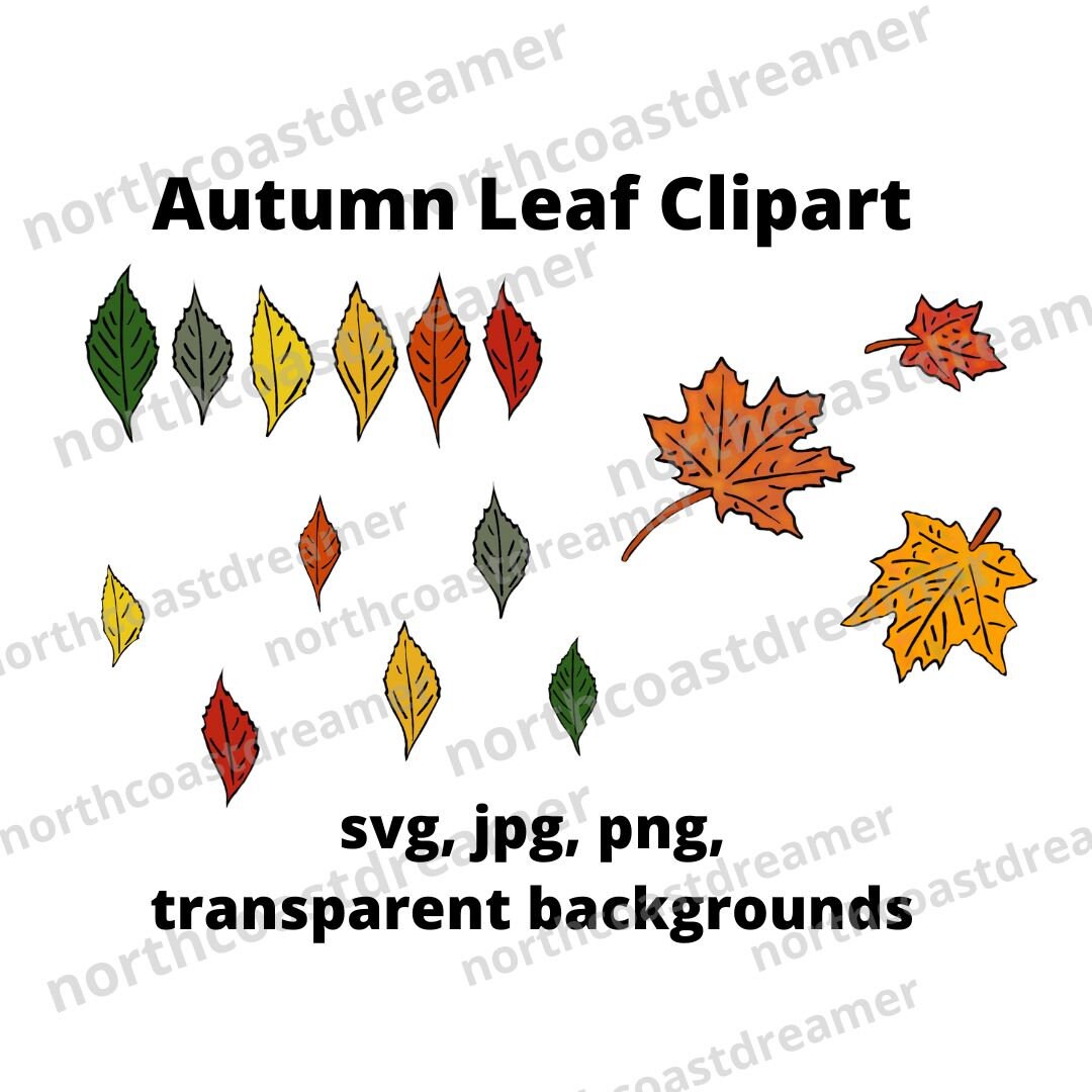 Autumn Leaf Clipart Bundle SVG, PNG, JPG Transparent Backgrounds ...