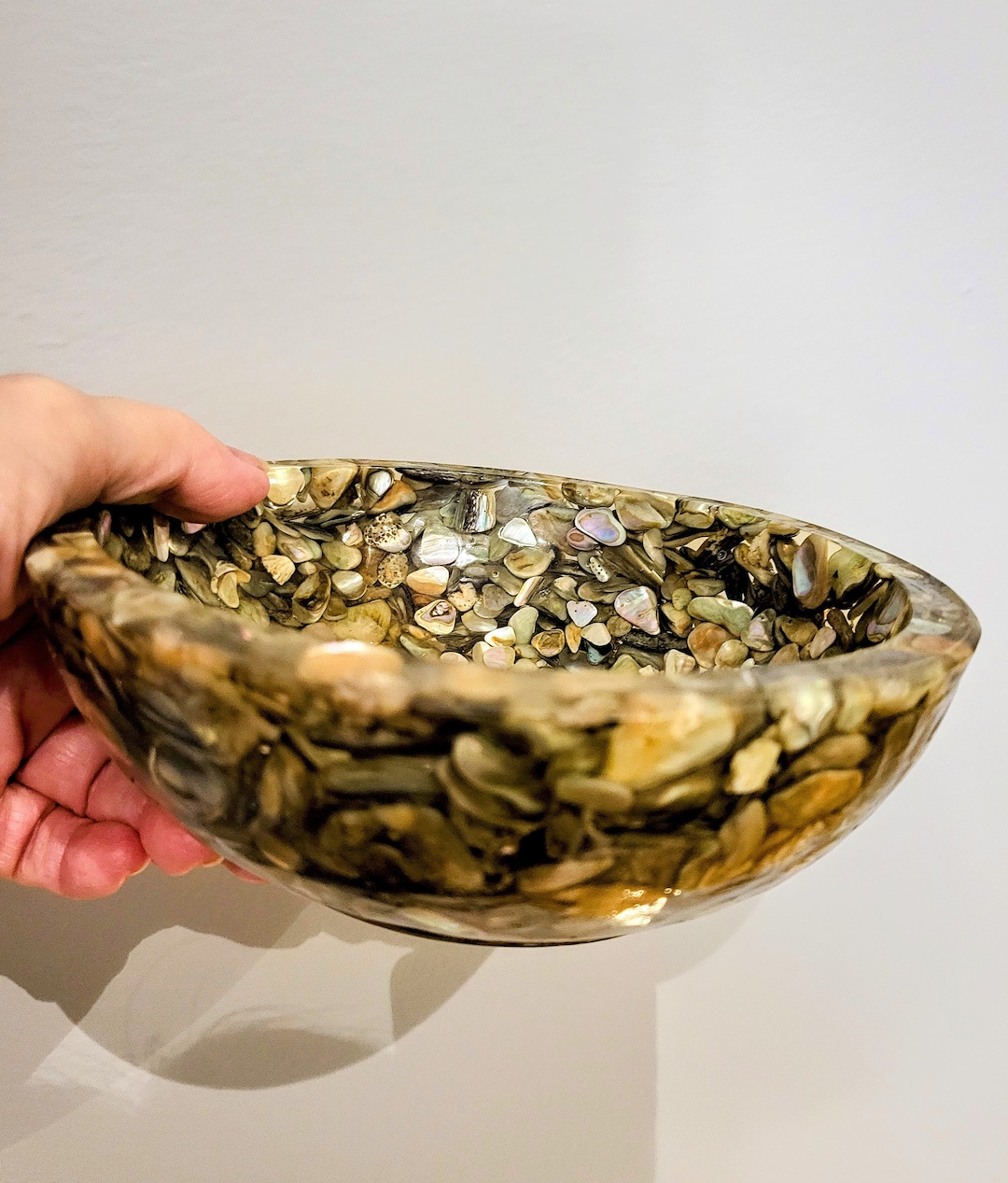 Vintage 1971 Abalon Sea Shell in Resin Decorative Bowl/natural Colors ...