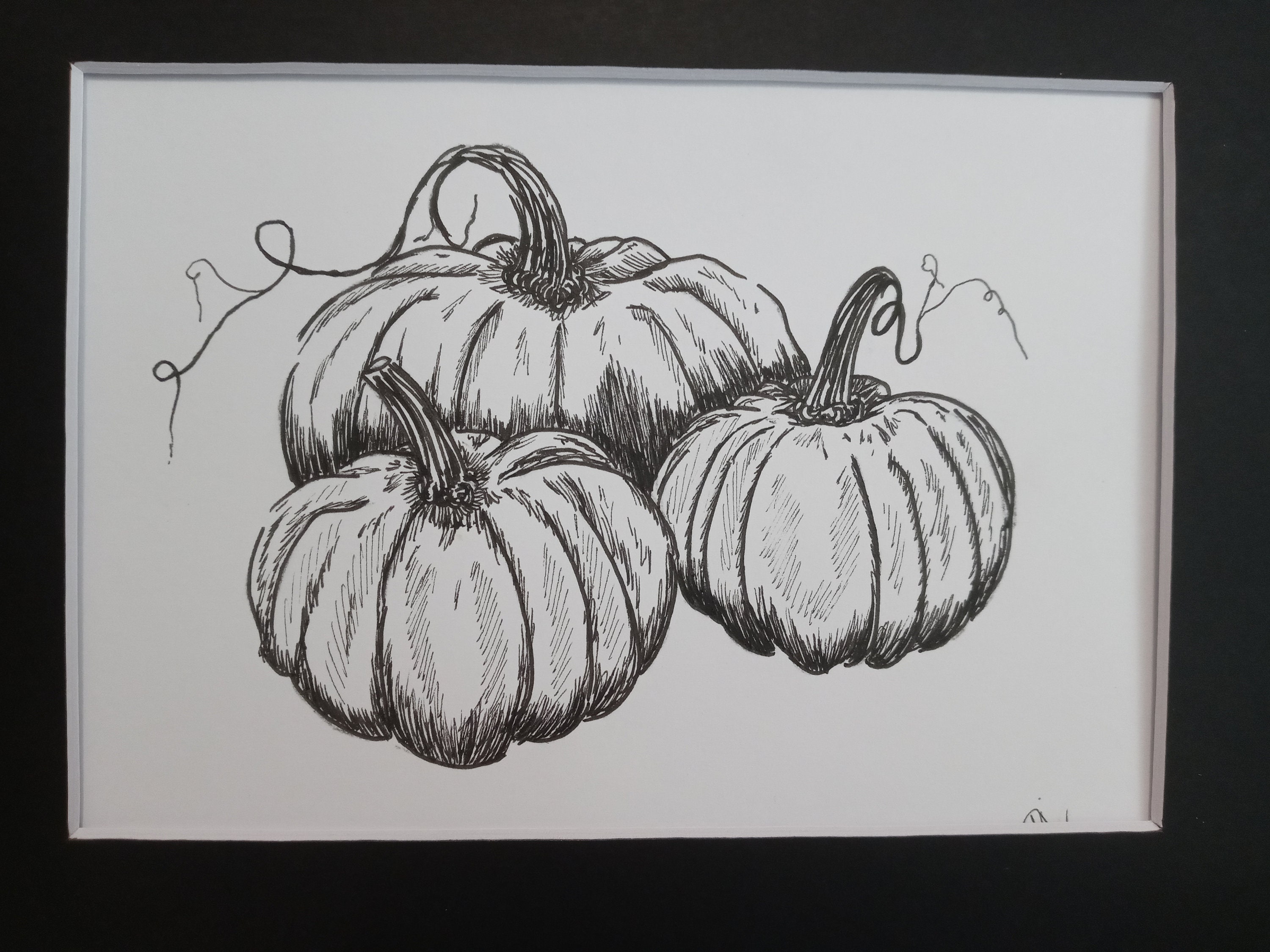 Pumpkin, Ink Drawing - Etsy
