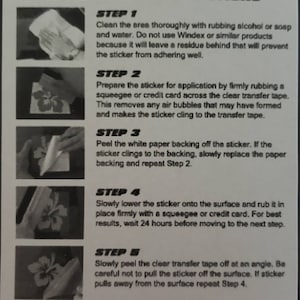 Crush Style Adult Turtle Decal - Etsy