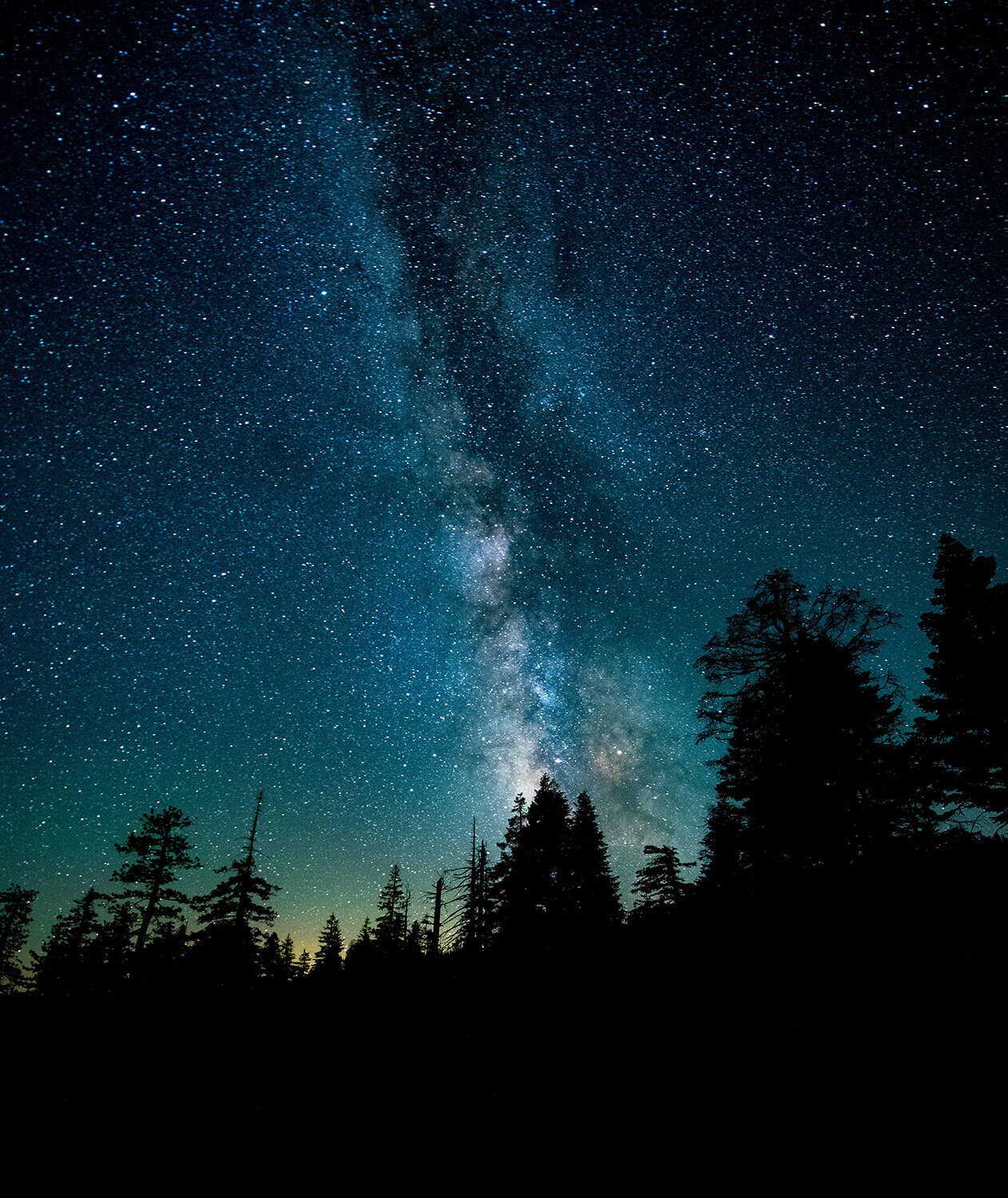 Milky Way Stars Print, Mountain Trees Night Sky, Constellations, Museum ...