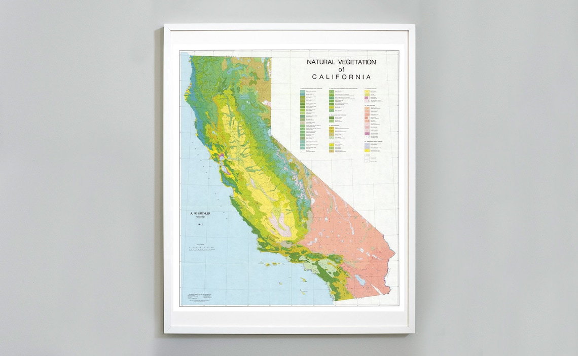 California Vegetation Map Print Forest and Natural Vegetation - Etsy UK