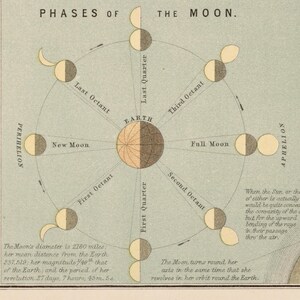 The Solar System Chart Print, Diagram of Eclipse, Seasons, Tides ...