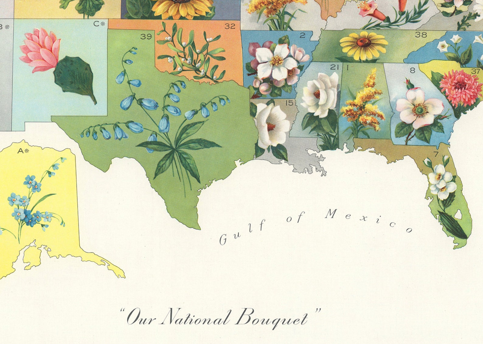 Flower Map Print of the United States, "our National Bouquet ...
