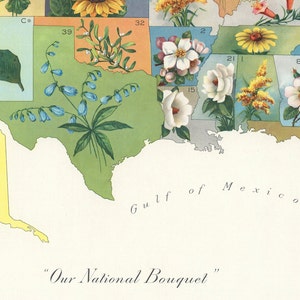 Flower Map Print of the United States, "our National Bouquet ...