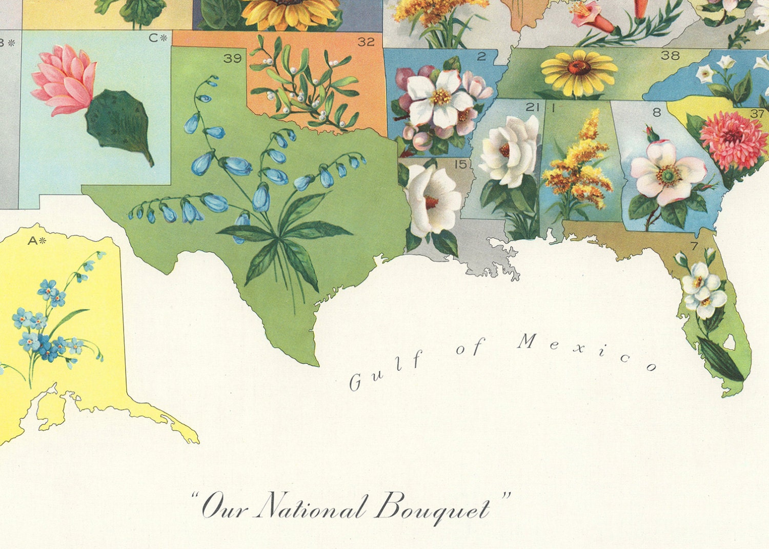 Flower Map Print of the United States, "our National Bouquet ...