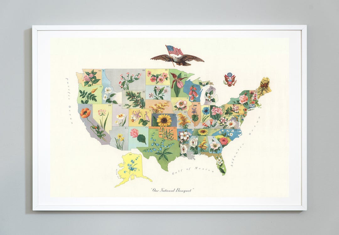 Flower Map Print of the United States, "our National Bouquet ...