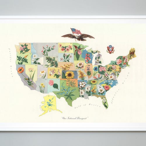 Flower Map Print of the United States our National - Etsy