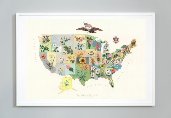 Flower Map Print of the United States Our national | Etsy