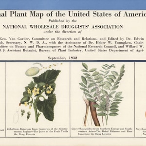 Medicinal Plant Map Print: Native Naturopath Plants of the United ...