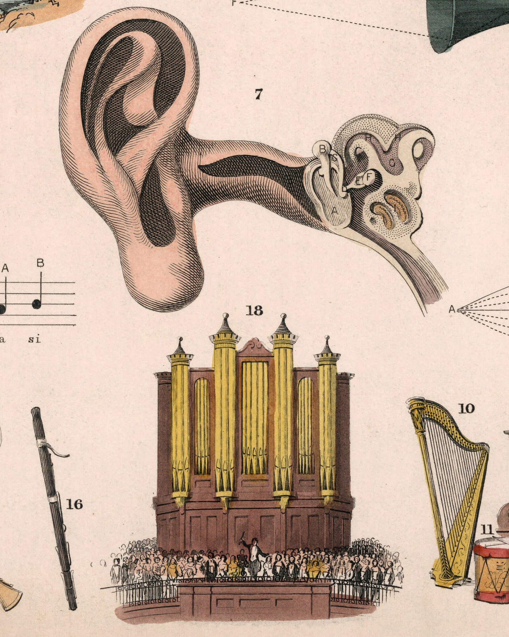 Acoustics Diagram Print Music Print Music Art Science - Etsy