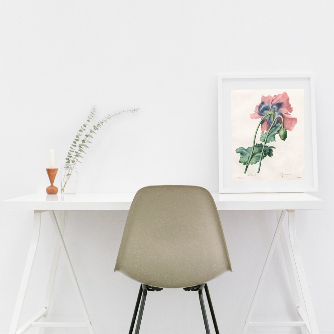 Poppy Flower Plant Print, Pierre-joseph Redouté, Natural History ...