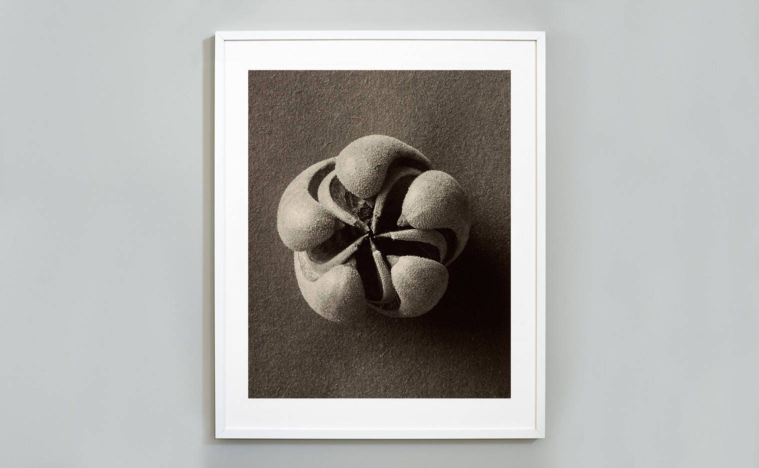 Black And White Still Life Basic Forms