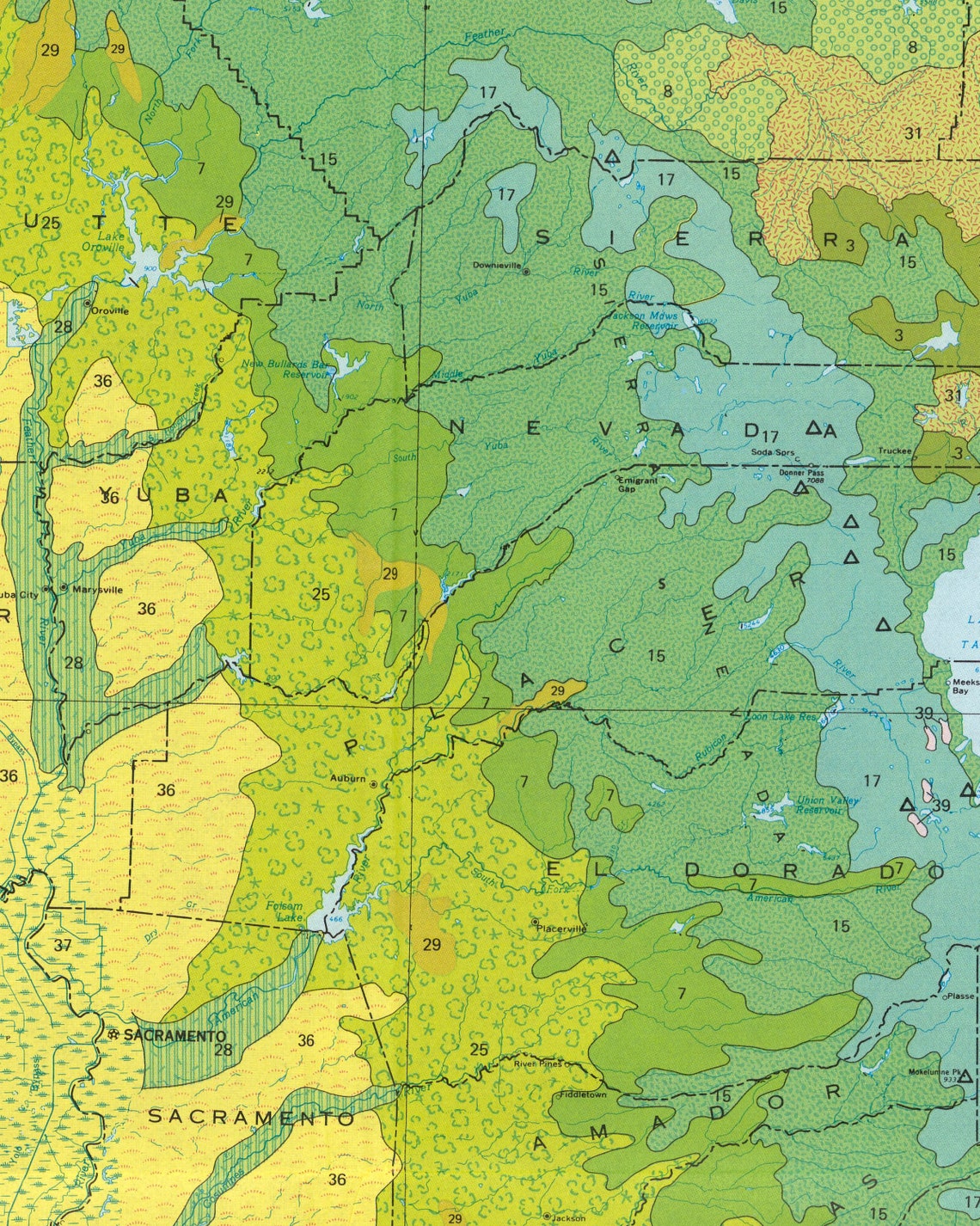 California Forests Map Print Forest and Natural Vegetation - Etsy UK