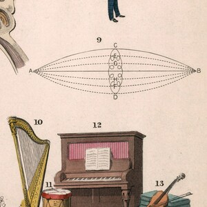 Acoustics Diagram Print, Music Print, Music Art, Science Chart ...