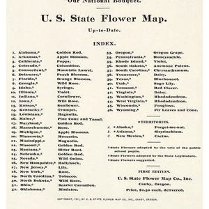Flower Map Print of the United States, "our National Bouquet ...