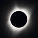 Solar Eclipse Print, Great American Eclipse, NASA Photo, Museum Quality ...