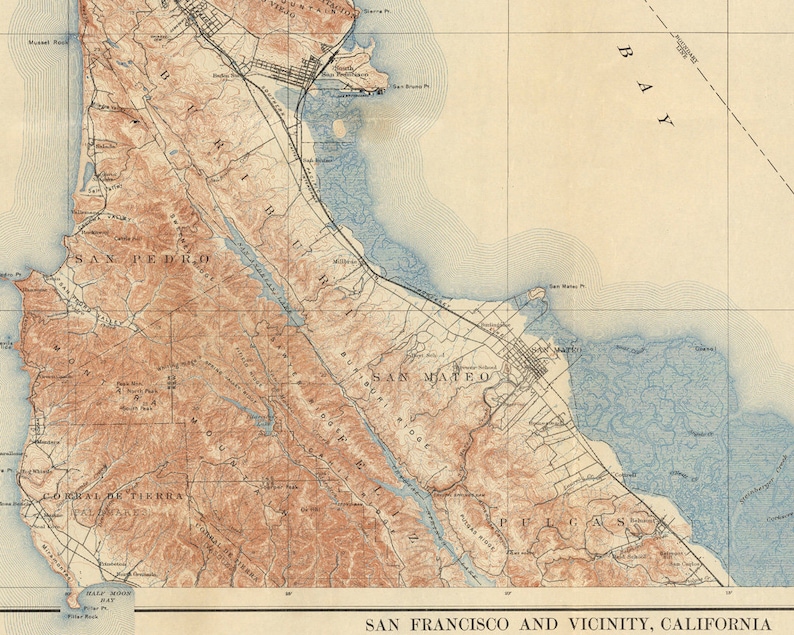 San Francisco Bay Topography Map Print Bay Area California - Etsy