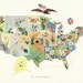 Flower Map Print of the United States, "our National Bouquet ...