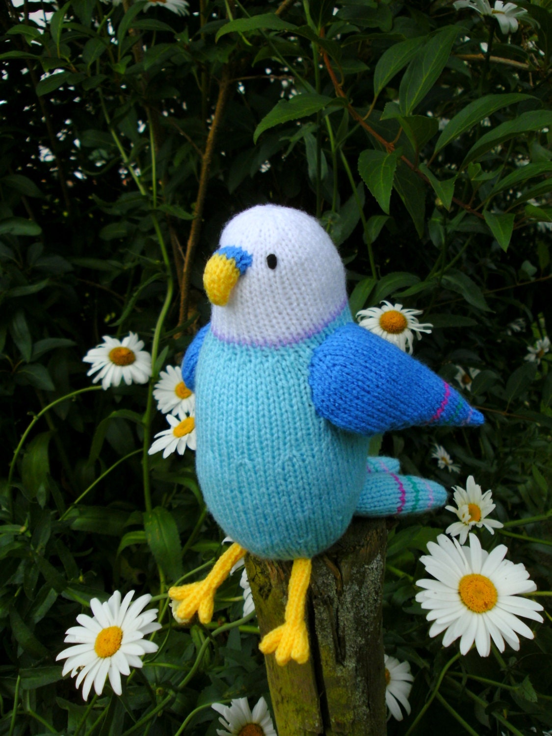 Clifford the Budgie Knitting Pattern PDF Instant Download - Etsy Australia