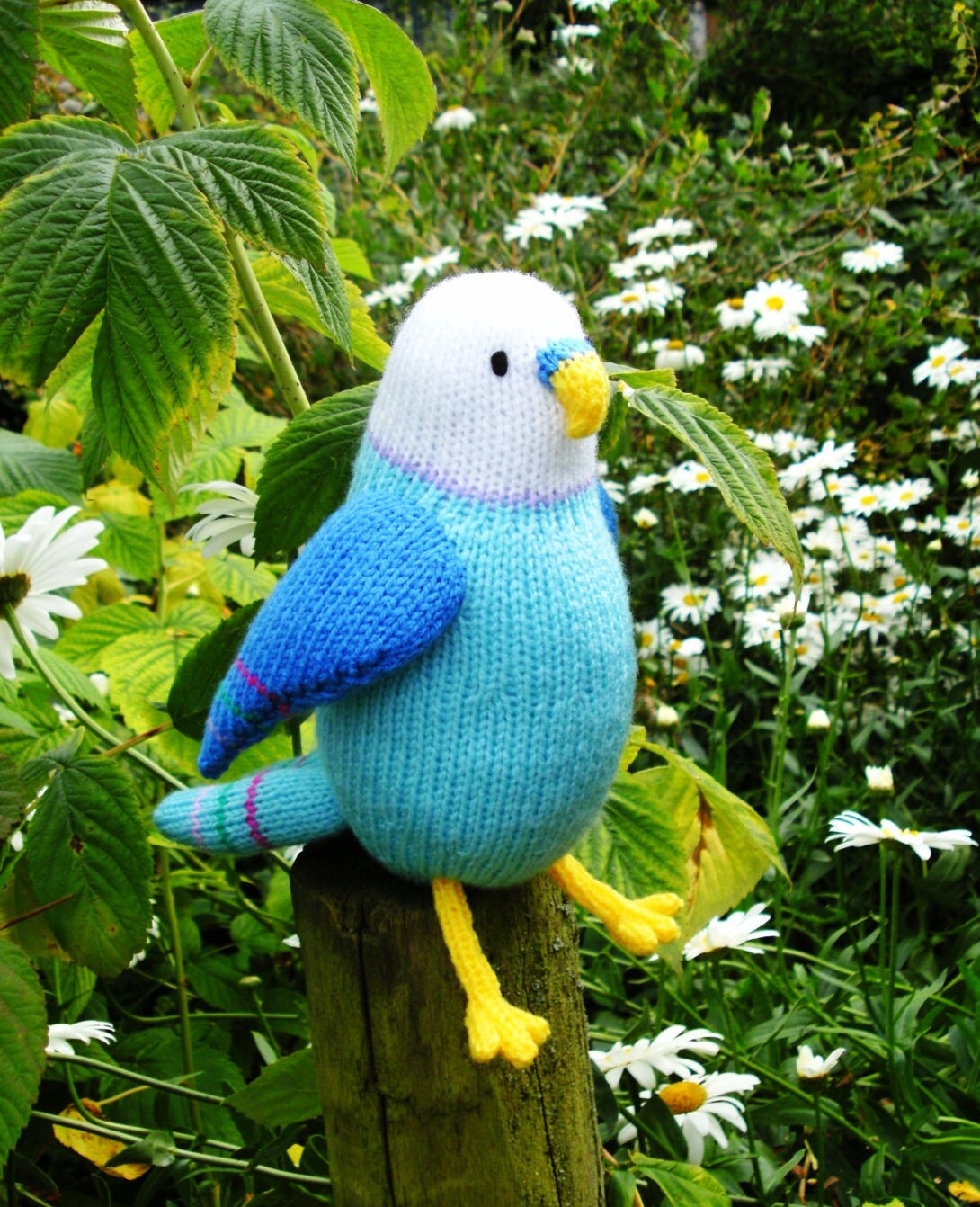 Clifford the Budgie Knitting Pattern PDF Instant Download - Etsy Australia
