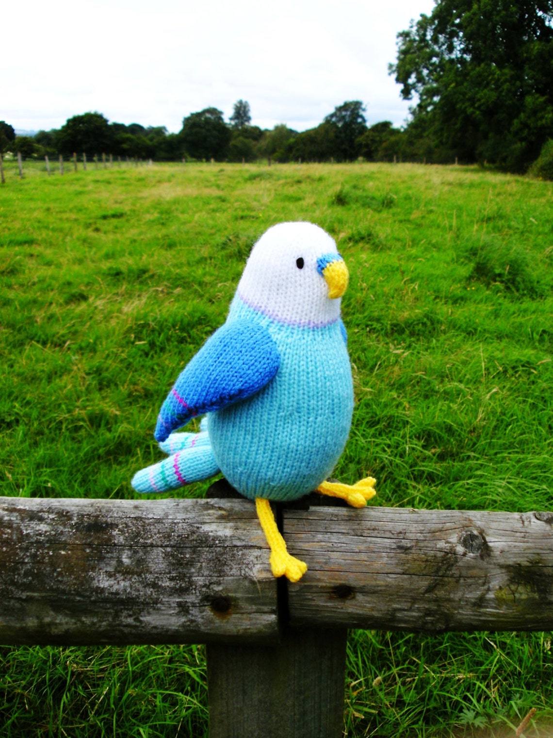 Clifford the Budgie Knitting Pattern PDF Instant Download - Etsy Australia
