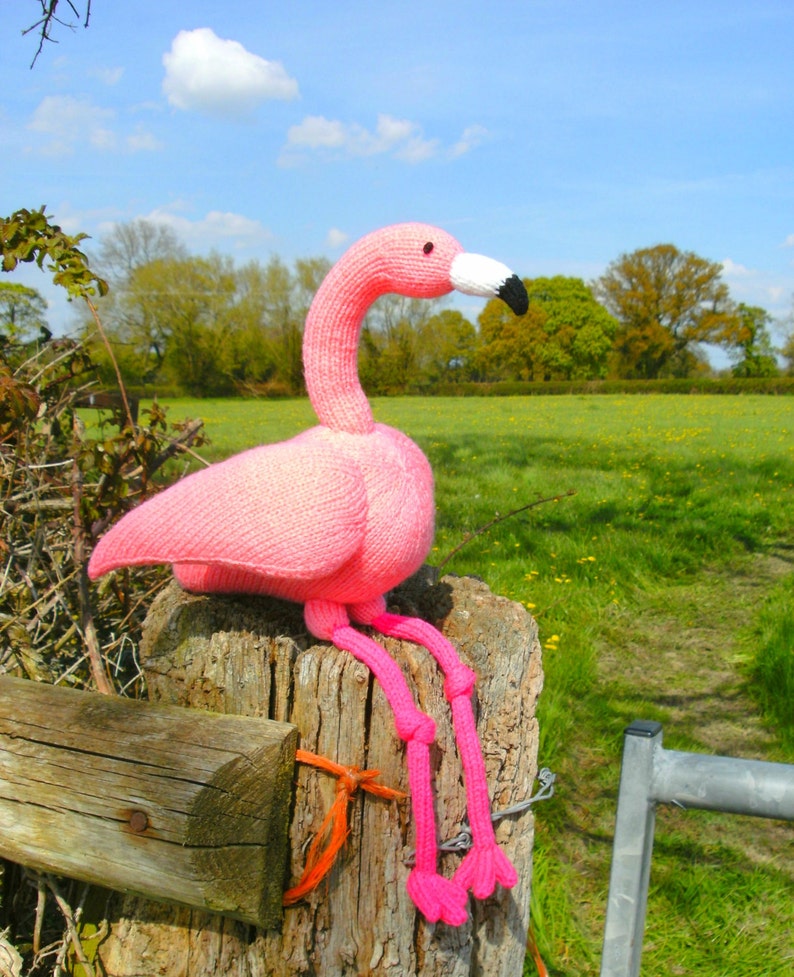 Felipe Flamingo Knitting Pattern PDF Instant Download knitted - Etsy ...