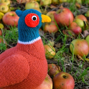 Philip the Pheasant Knitting Pattern (PDF Digital Download) - Etsy UK