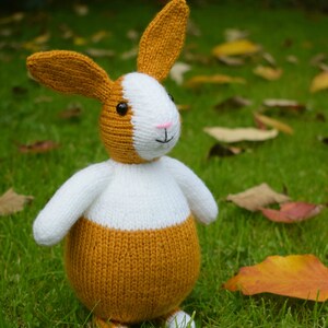 Cheryl the Dutch Rabbit Knitting Pattern PDF Instant Download (knitted ...
