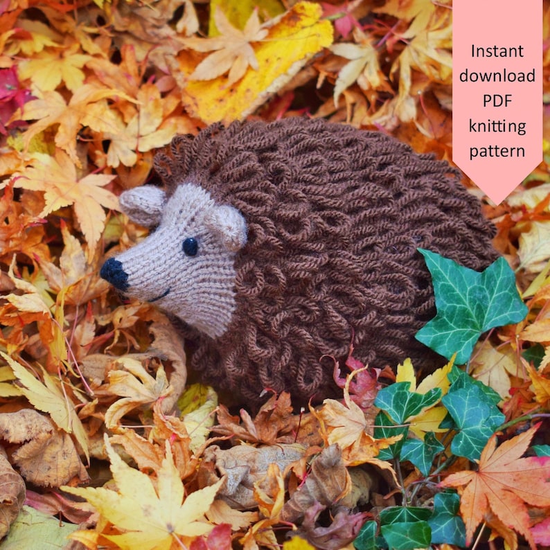 Hector the Hedgehog Knitting Pattern (PDF Digital Download) - Etsy