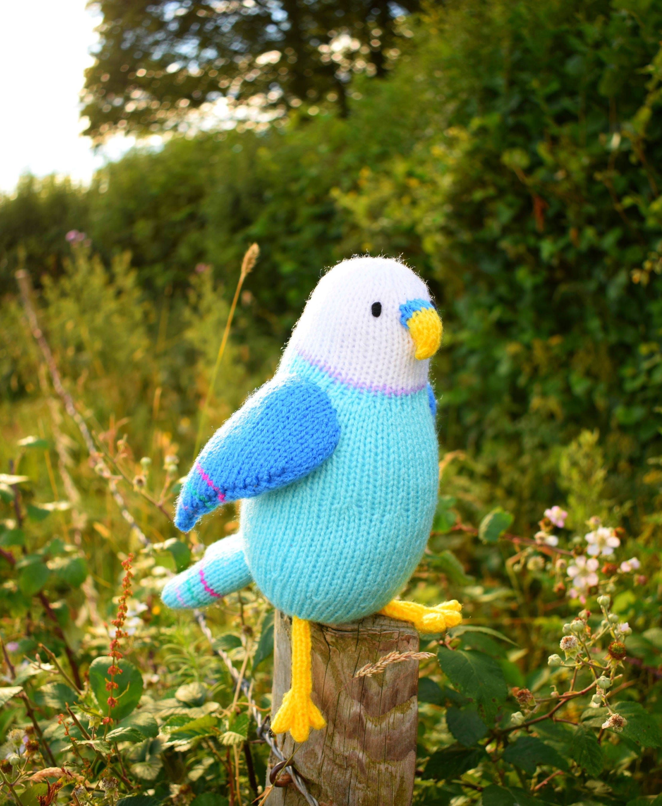 Clifford the Budgie Knitting Pattern PDF Instant Download - Etsy Australia