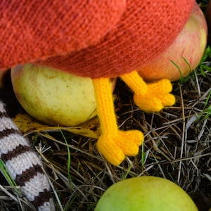 Philip the Pheasant Knitting Pattern (PDF Digital Download) - Etsy UK