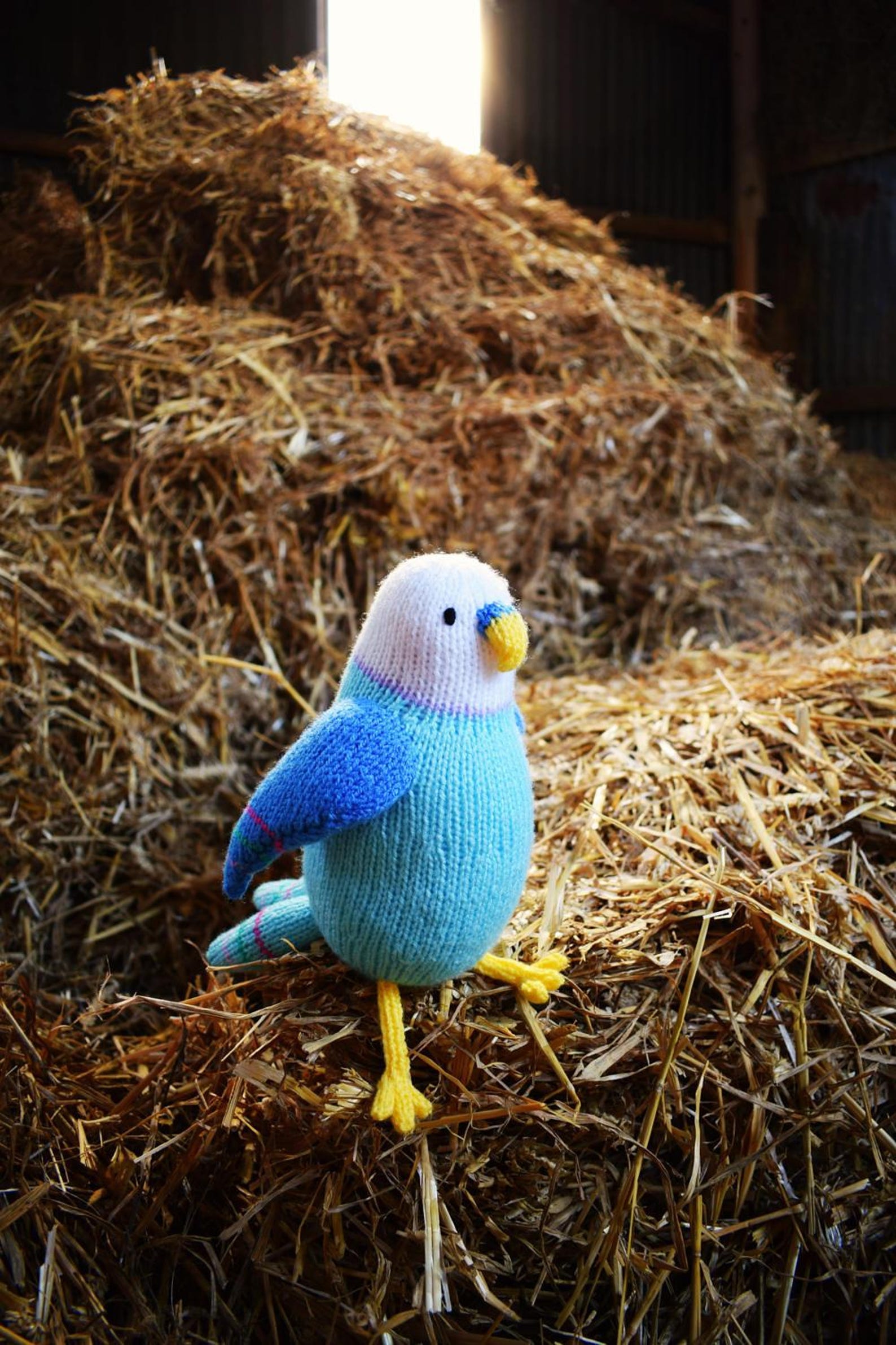 Clifford the Budgie Knitting Pattern PDF Instant Download - Etsy Australia